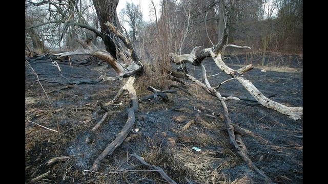 Храм Преображения Господня в селе Остров 04 2006