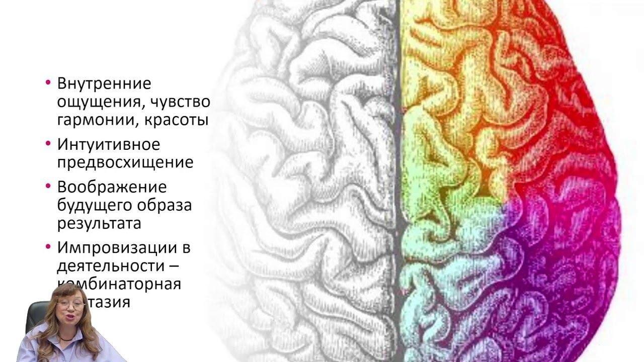 Развитие интеллектуально-творческих способностей учащихся через исследовательскую деятельность