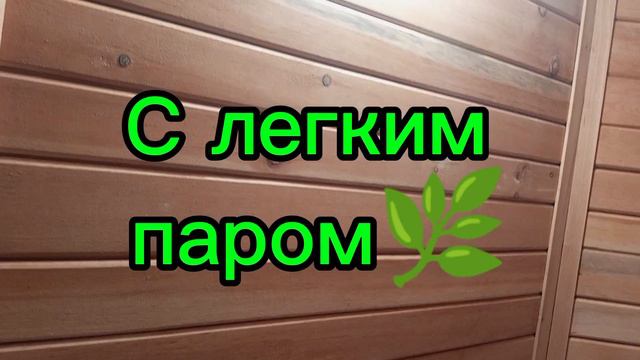 Сауна