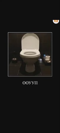 Самый популярный мем?