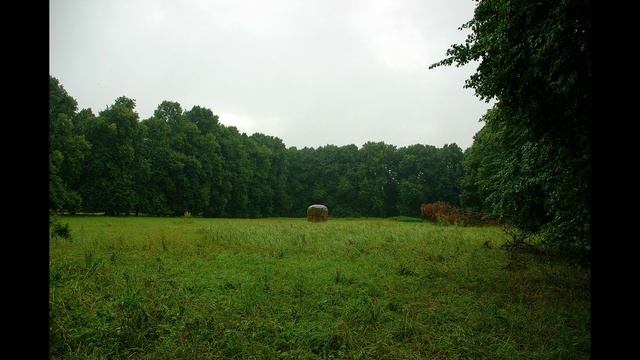 Кашира Храм Преображения Господня с Стародуб