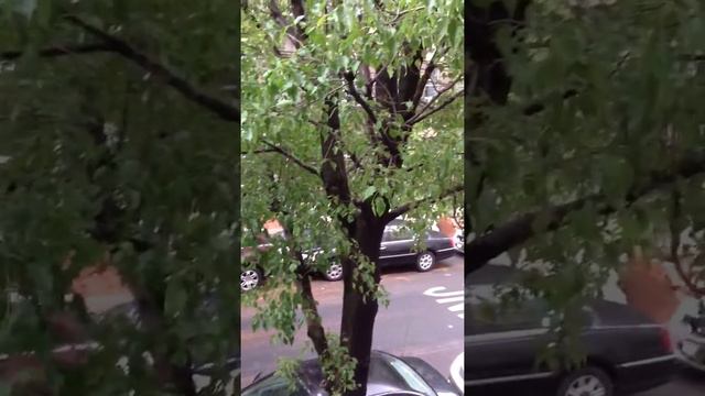 Утро в Нью Йорке