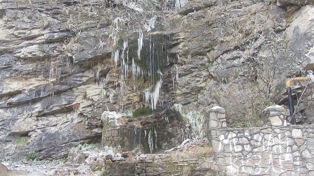 MVI_7991