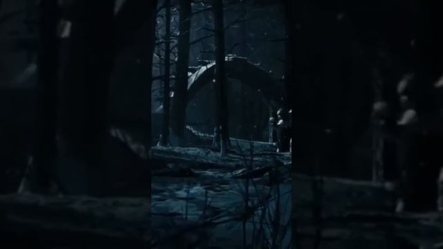vodilla x spider dance
