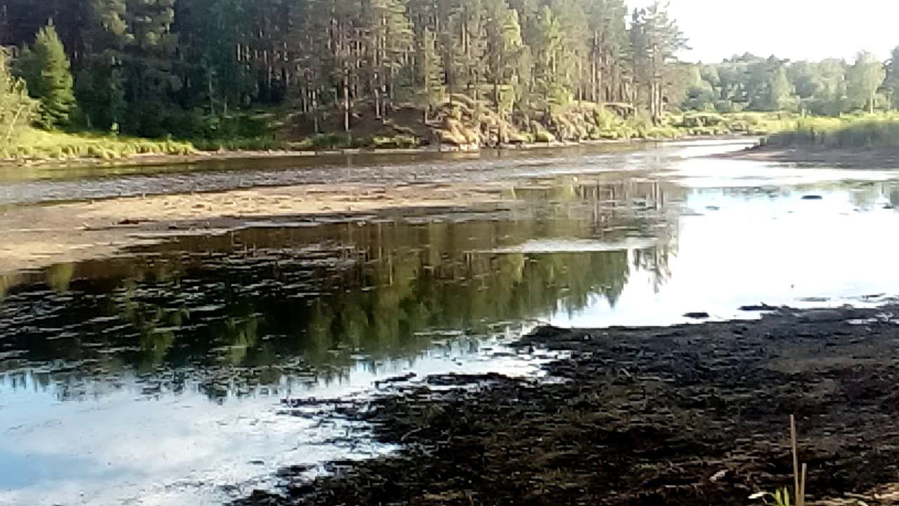 08.07.19. Сброс в реке Ирбит. Аварийный?