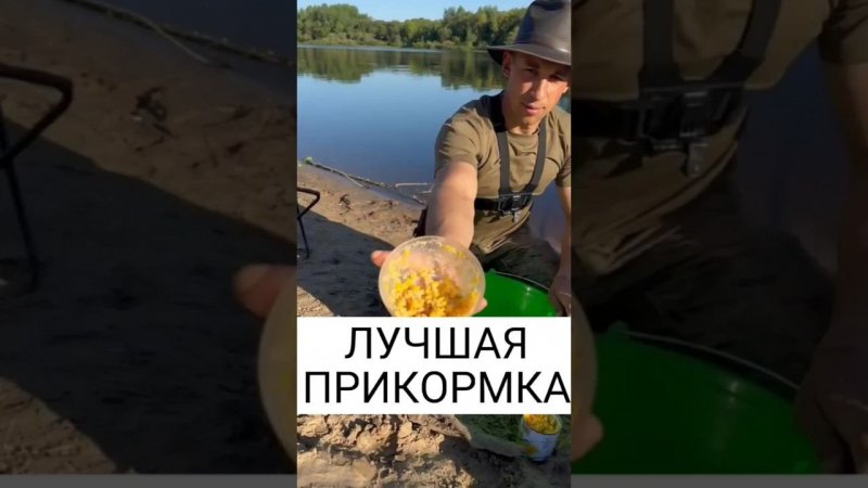 МОЙ РАБОЧИЙ РЕЦЕПТ ПРИКОРМКИ #рек #fish #fishing #рыбалка #лещ #лещнафидер #реки #фидер