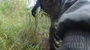 ПОЕХАЛ С ТХ950 ЗА ЖЕЛЕЗОМ НАЙДУ ЛИ ЧТО ИЛИ НЕТ.