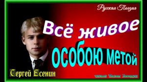 Всё живое особою метой Сергей Есенин Русская Поэзия читает Павел Беседин