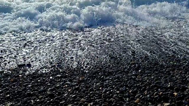 Сочи Парк. Пляж зимой.