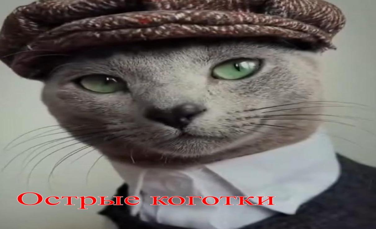 Острые коготки. Подборка смешного видео №9