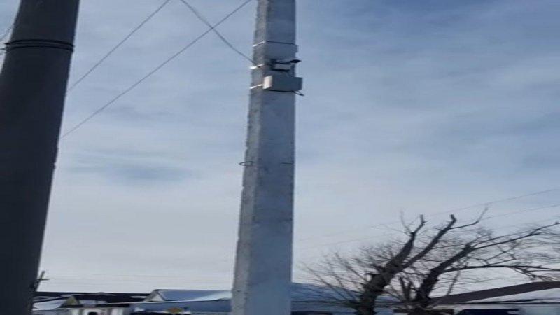 Установлена видеокамера, но даже это их не пугает!