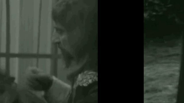 Мушкетеры 1966