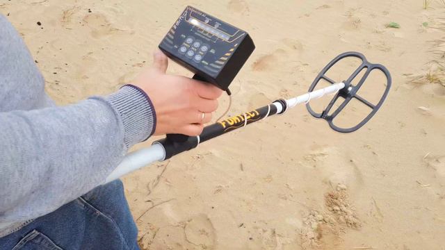 FOMTECT Promaster-M2 поиск 1