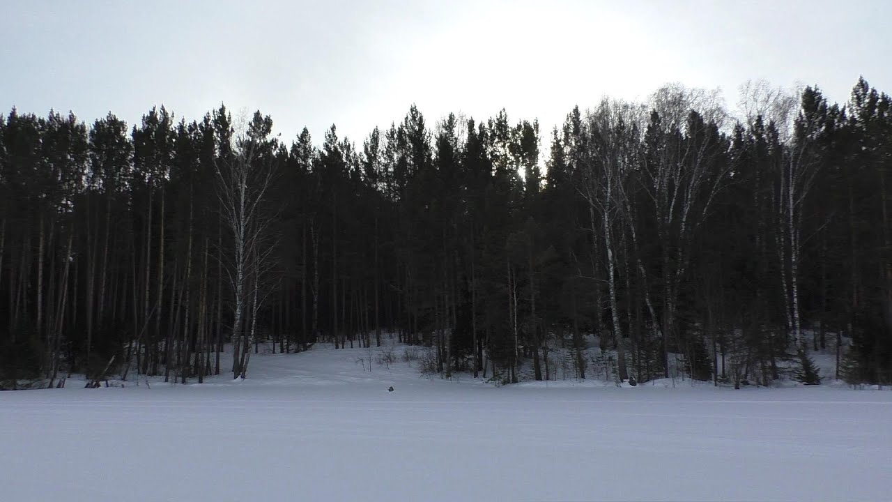 Рыбалка на безмотылку