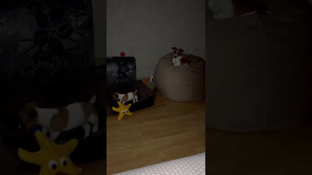 Хорошо, что за хлебом не ушёл 😅