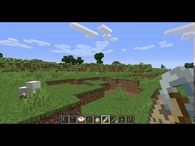 Minecraft  1 16 1 2020 07 25 14 58 34