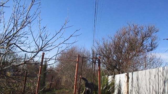 Небо, зовет и манит. Лопинг.