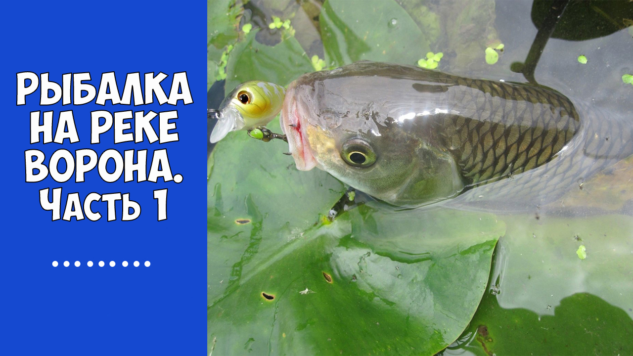 Рыбалка в Тамбовской области. Часть 1