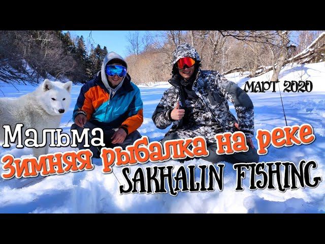 Зимняя рыбалка на реке. Сахалин, март 2020. Подводная съёмка.