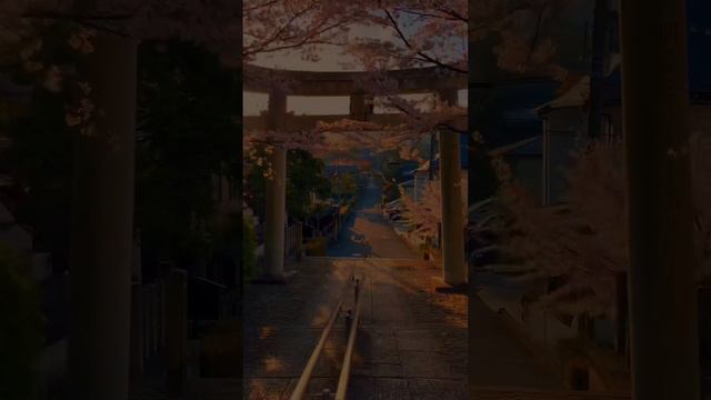 Киото, Япония