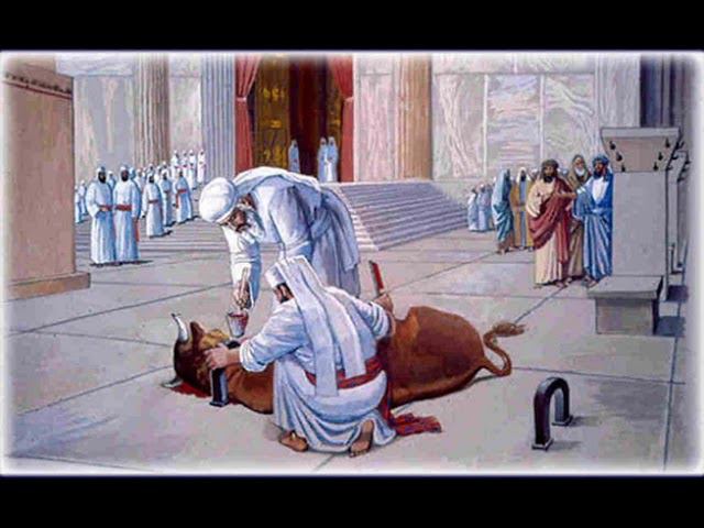 3.04 По страницам Библии - лекции доктора Мак Ги по книге Левит