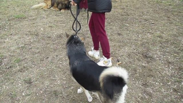 Неподбор1.mp4