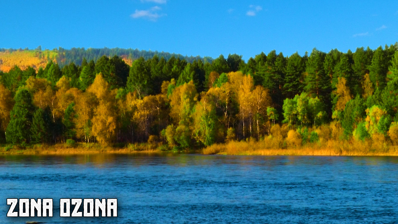 Тёплый осенний лес на берегу реки. Осенние спокойствие