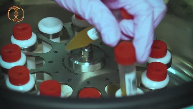 Фильм - рассказ об услуге.