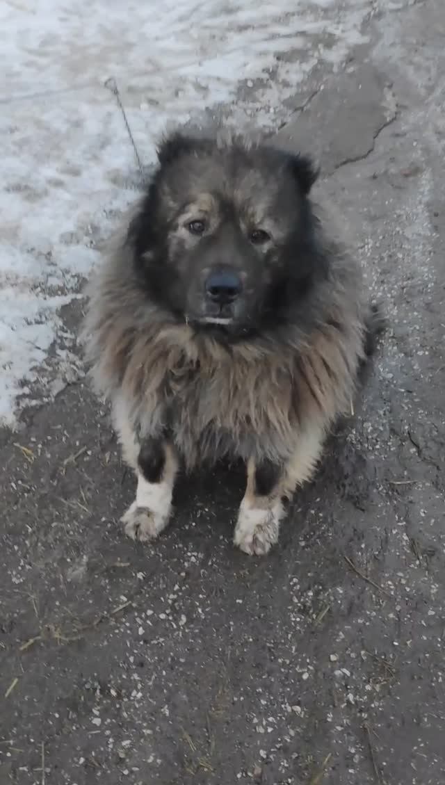 Малыш встречает. Утро
