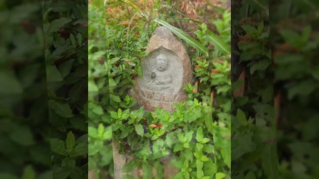 японский сад. Краснодар
