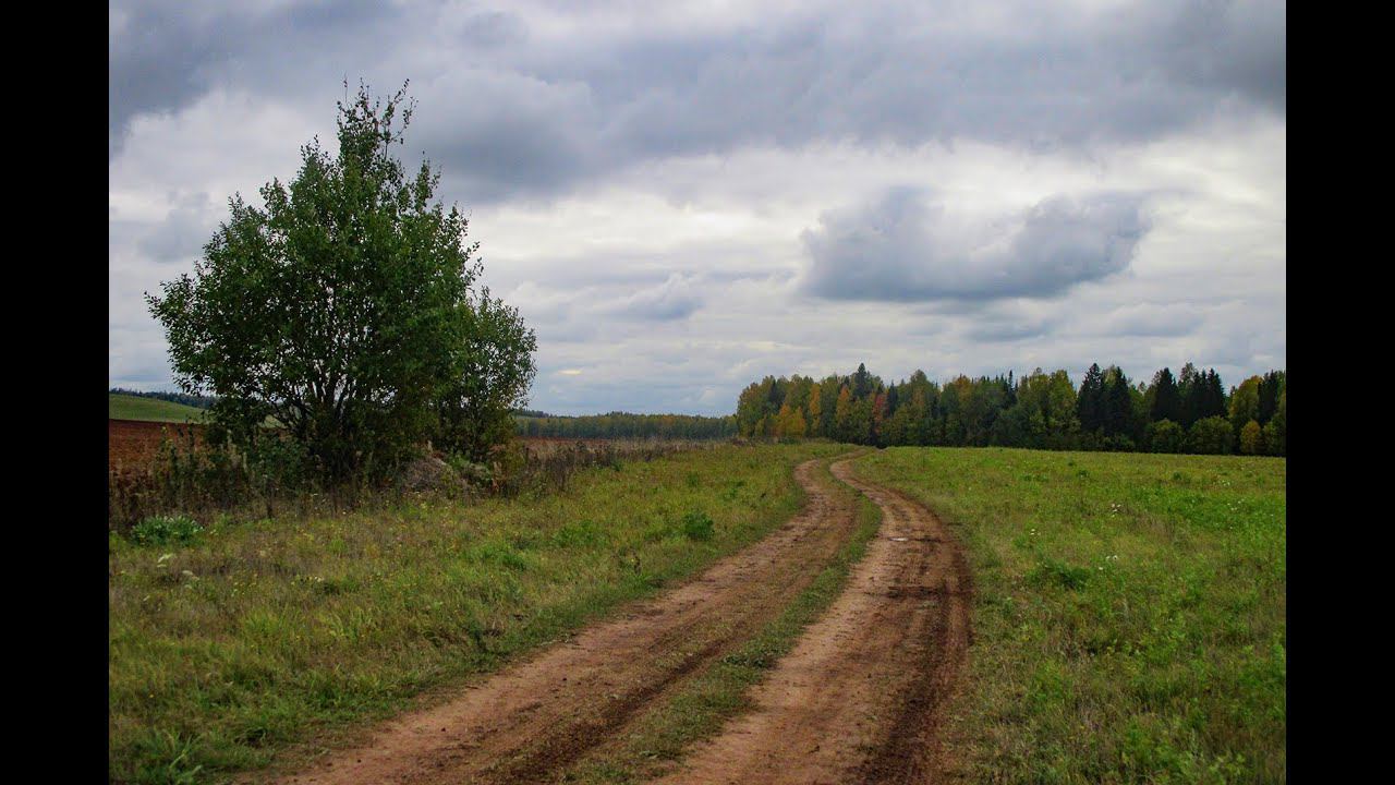 Осень,Лес,Грибы и Мы