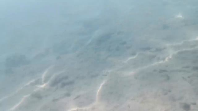 Красное море в Египте _Моё подводное путешествие 1