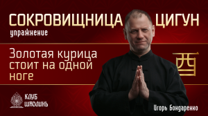 Упражнение "Золотая курица стоит на одной ноге". Цигун для начинающих. Игорь Бондаренко