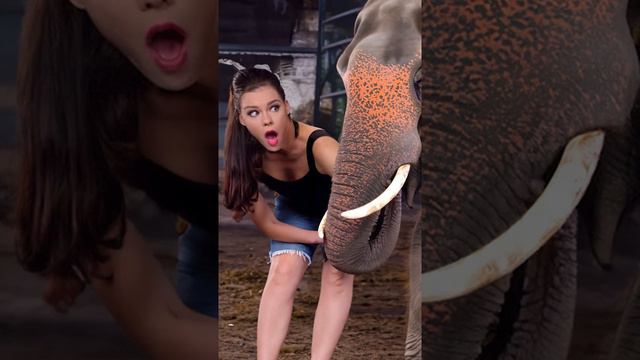 Пошлое мышление