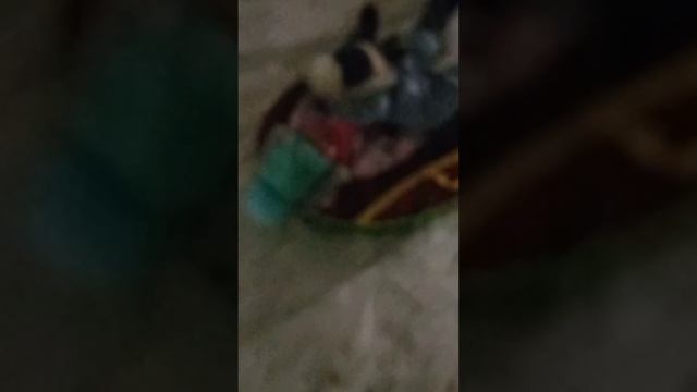 Покатушки