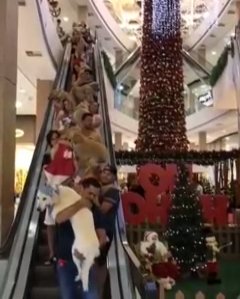 Pet Weekend в торговом центре 