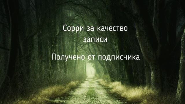 Шикарный диалог подписчика с зеленым банком