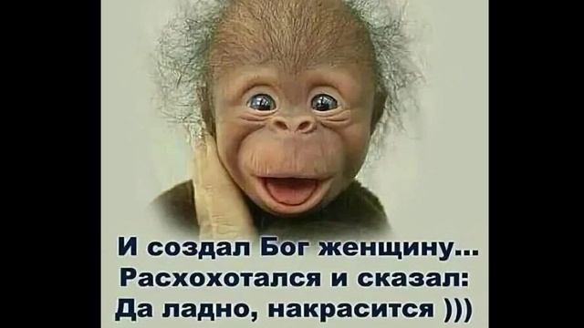 Диана анкудинова