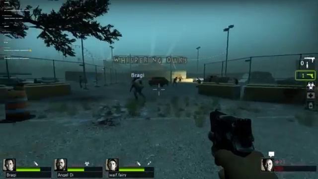 Зомби... Зомби?... ЗОМБИ!!!!!!