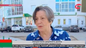 Югорчане оценили запрет на содержание экзотических животных дома