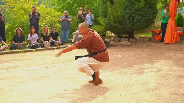 羅漢十三式气功-13-Luohan-Postures-Soft-Fist-Form-Master-S(2).mp4 смотреть онлайн видео от ТУРЬЯ в ...