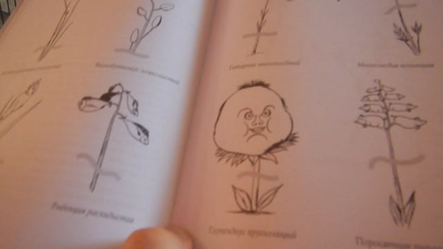 Заседание Учёного Ботанического Совета