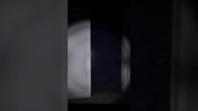 Within Skerry - опять рука напугала