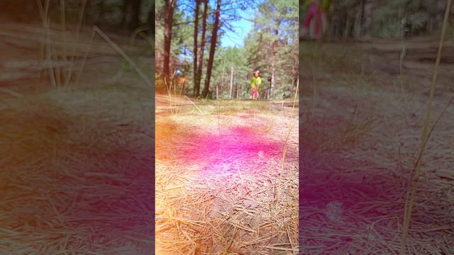 lv_0_20240727112944.mp4