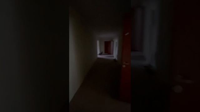 Сдаётся помещение свободного назначения 270 кв.м.