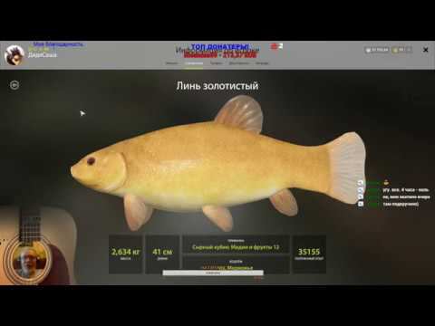 Русская Рыбалка 4 ➤ На рыбалке ДядяСаша  ➤ Половим часок