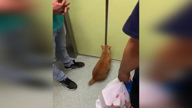 Я на следующем выхожу