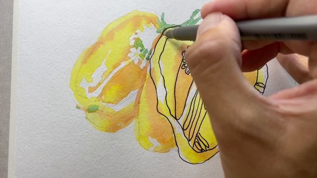 Желтый сладкий перец акварелью и линером. Для начинающих