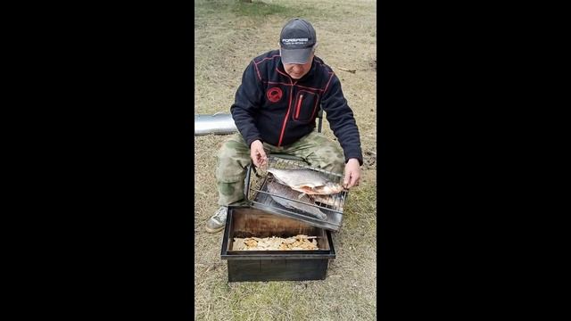 Закоптили свежепойманных Лещей на реке Волхов. Копчёный лещ это вещь.
