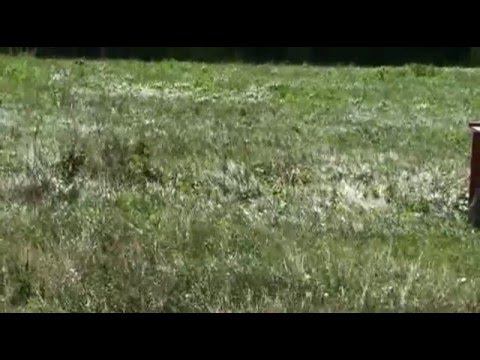 Строительство цифровой телесети в селе Аргут Республики Алтай